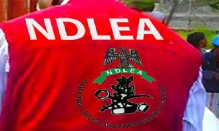 NDLEA officials open fire in Plateau community, kill innocent youth ...