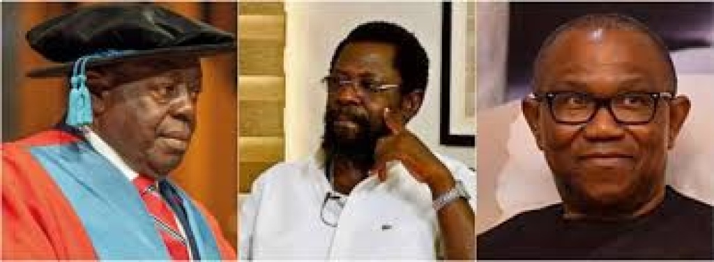 Afe Babalola vs Dele Farotimi: Why Peter Obi tried to step in — Nzeakor ...