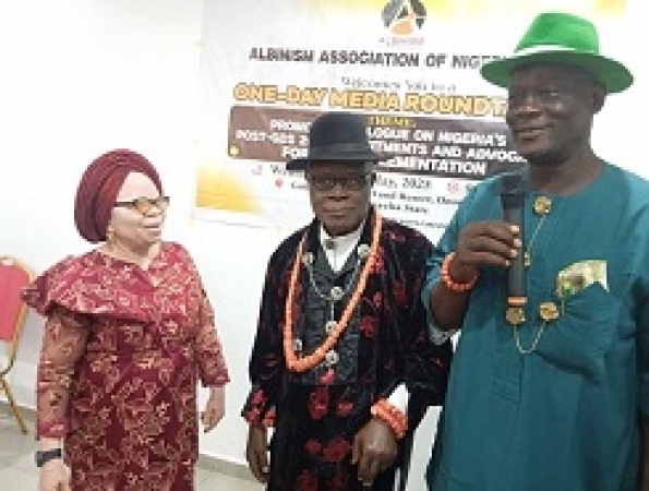 Albinism Association of Nigeria advocates timely implementation GDS ...
